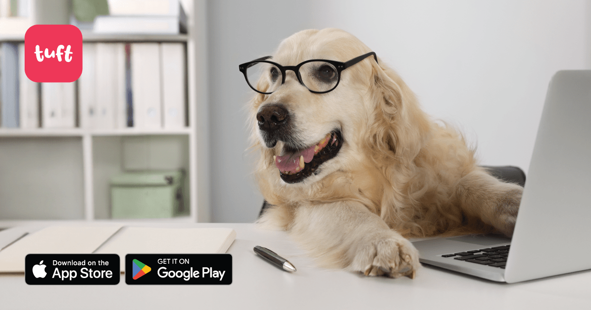 What Payment Methods Do SumUp Card Readers Accept? | Tuft | Pet ... What Payment Methods Do SumUp Card Readers Accept? | Tuft | Pet ...